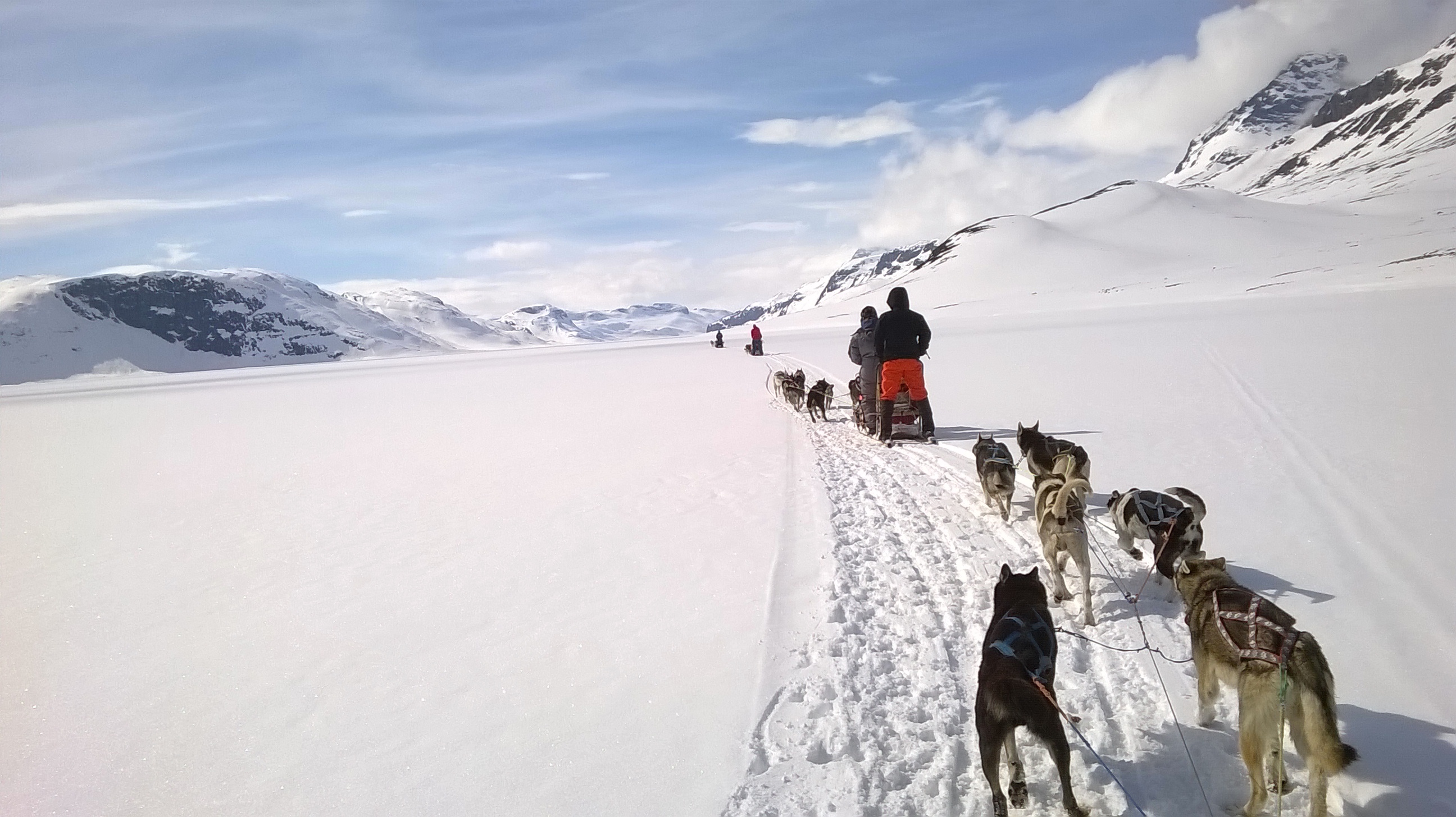 Beito Husky Tours AS - Visit Beitostølen