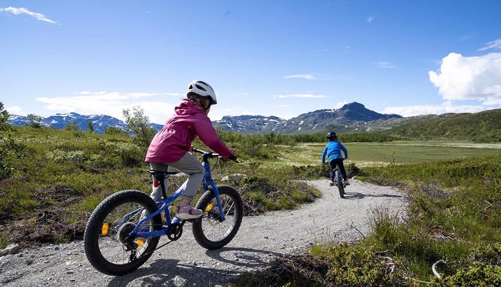 Sykkelguide på Beitostølen - Visit Beitostølen